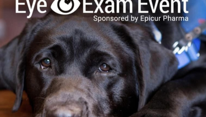 Annual ACVO National Service Animal Eye Exam Event - Animal Eye Care of ...